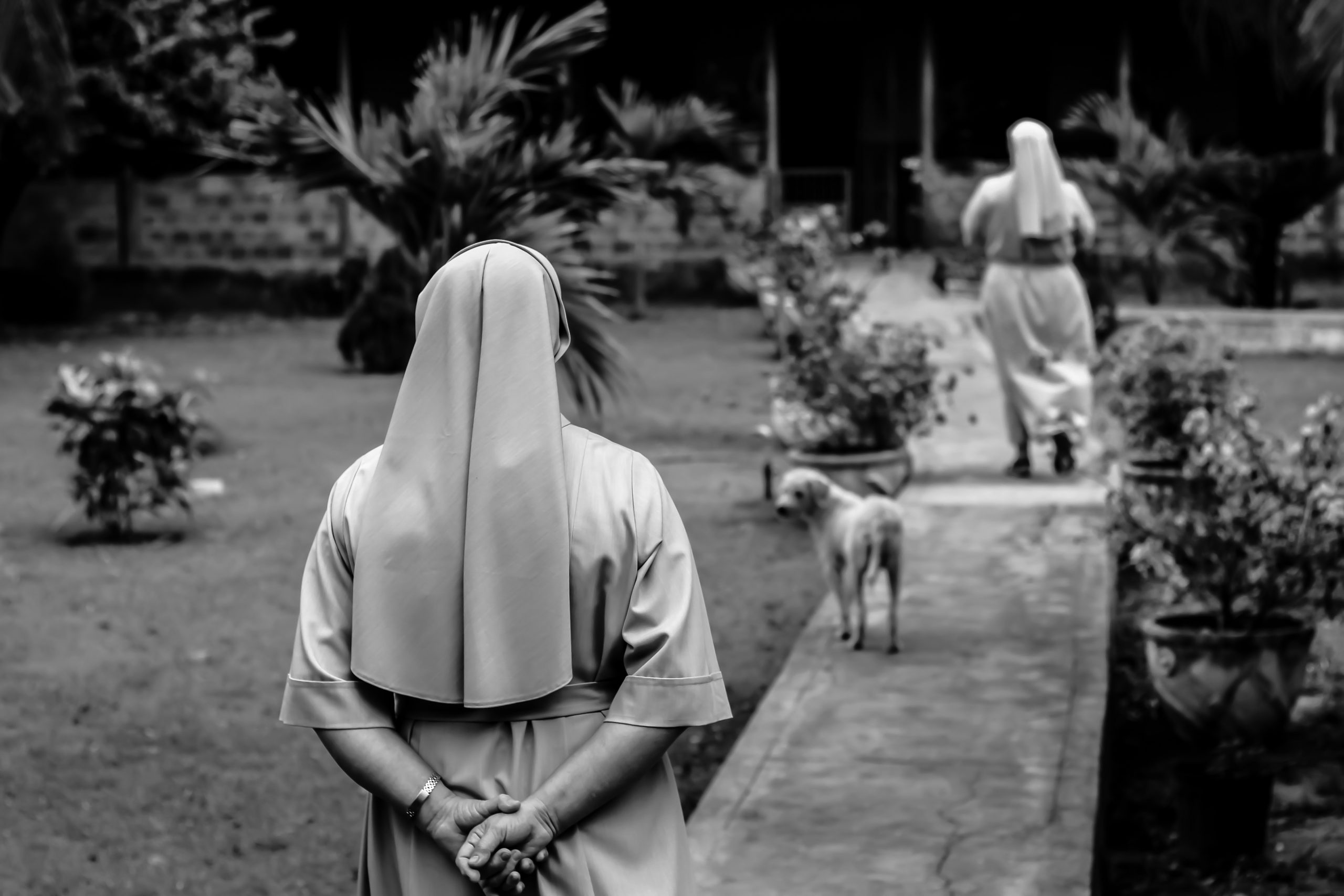 A Missão da Vida religiosa no mundo de hoje - Irmãs Palotinas